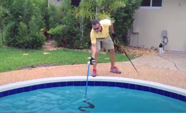 Finding the Best Snake Removal Services in Boca Raton - Wildlife ...